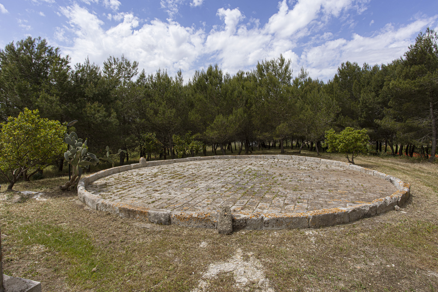 Chi Siamo – Aia Grande